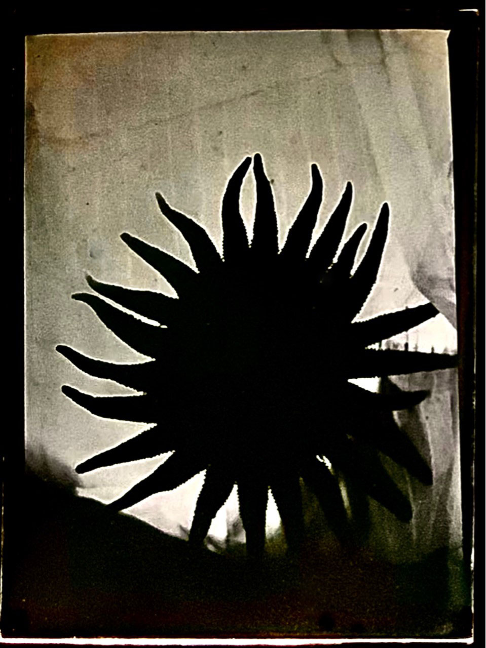 PGI – gallery | The Winners are Concluded IO-2: International ...