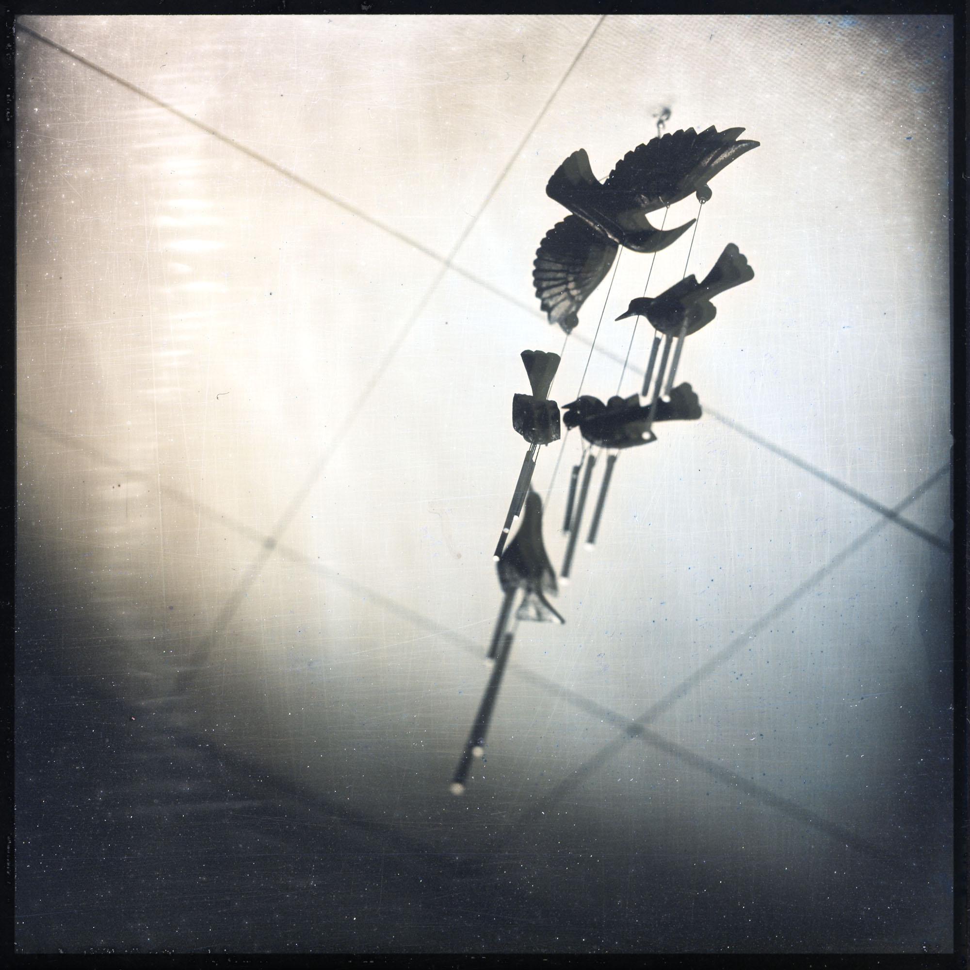 PGI | Birds in the Hand